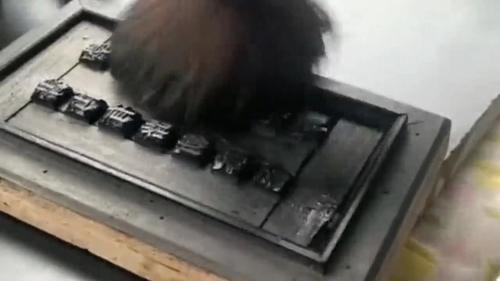 穿越千年的活字印刷术,完整的传承到现在,希望后人能把它发扬光大!