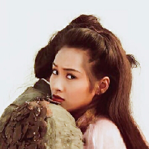 一个宝藏up主 
