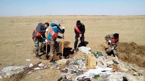 中国艰难治沙30年,终于将沙漠变绿洲,没想到却伤透了治沙人的新