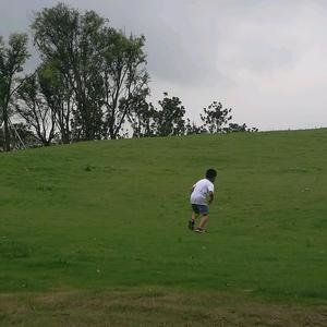 公众号大红包公 