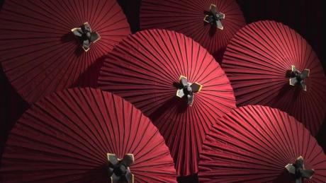 SONY DEMO 4K 演示片 ( 2160 X 3840 60fps )