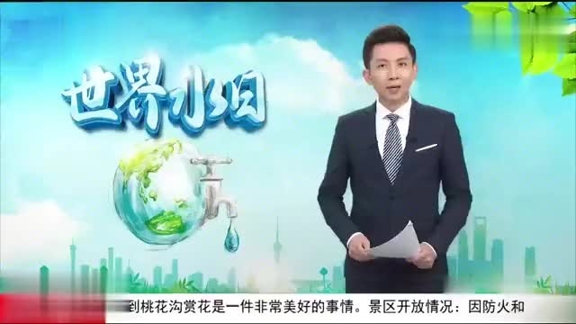 节水进行时!大数据分析用水量,科学调配水资源