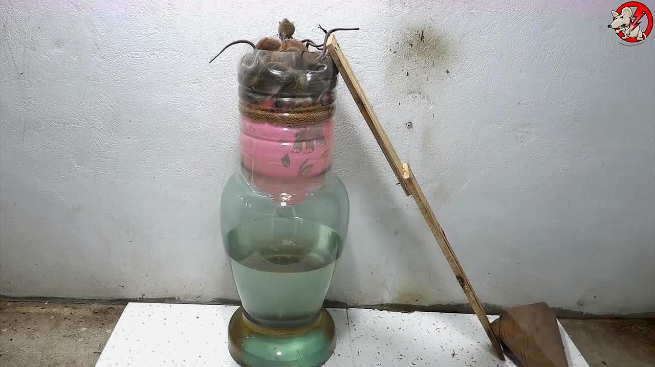 农村小哥自制的捕鼠器,太好用了,老鼠一窝端,一个也跑不了