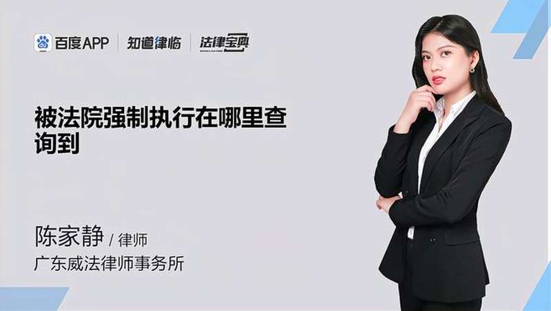 被法院强制执行在哪里查询到