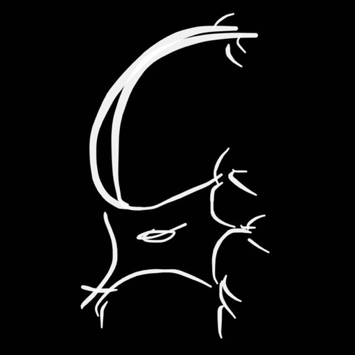 飞天蝙蝠白师傅 