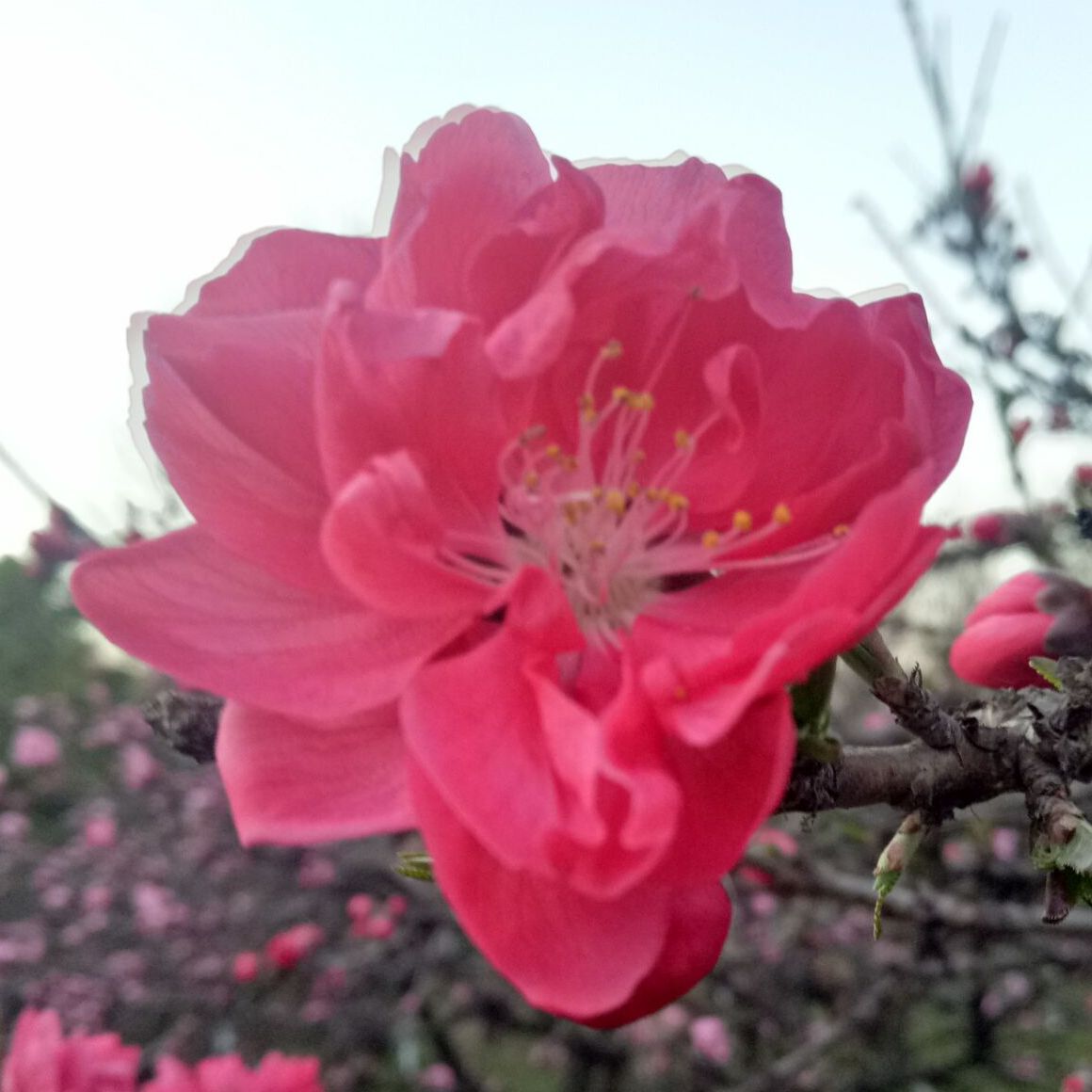 丽丽老师说 