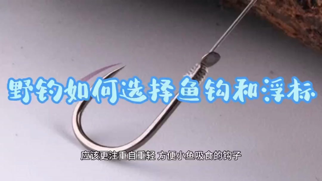 野钓时的鱼钩和浮标,都是要根据目标鱼的种类及大小来选择的…