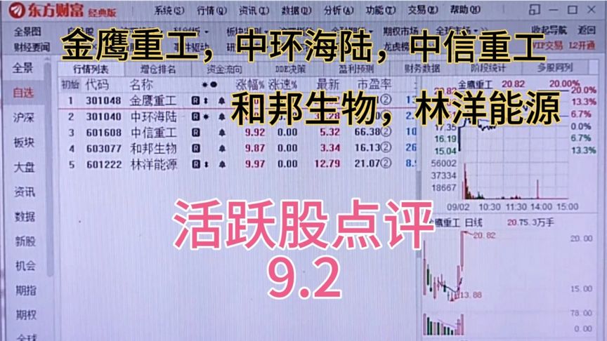 活跃股点评:金鹰重工,中信重工,和邦生物,林洋能源,中环海陆