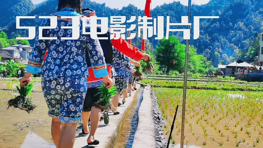 #办好旅发会一起向未来 #桑植是个好地方 #手机摄影 #插秧季节