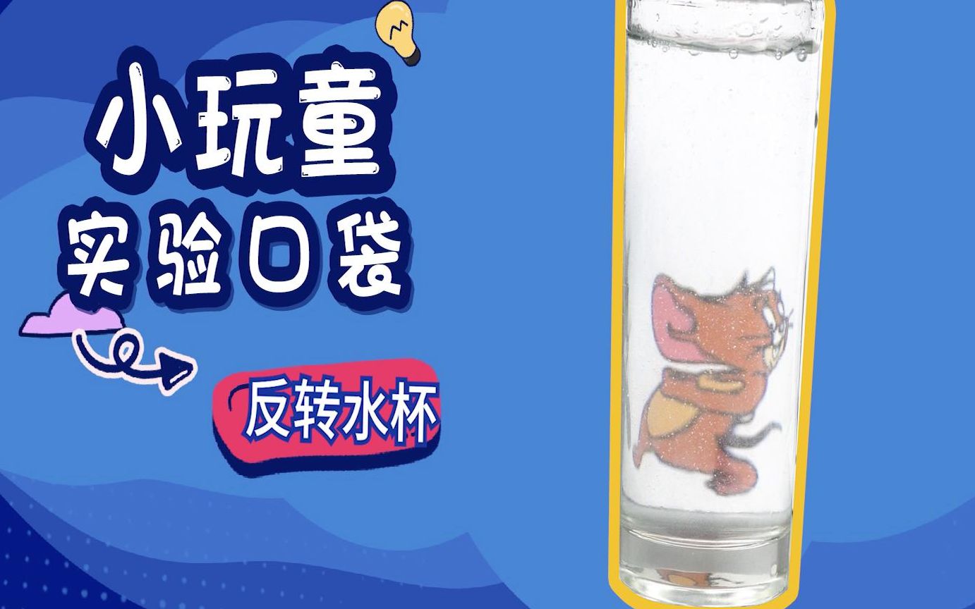 带娃实验|公道杯(横版)