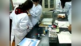 【生物技术实验之血型鉴定】搞笑的学习生活继续