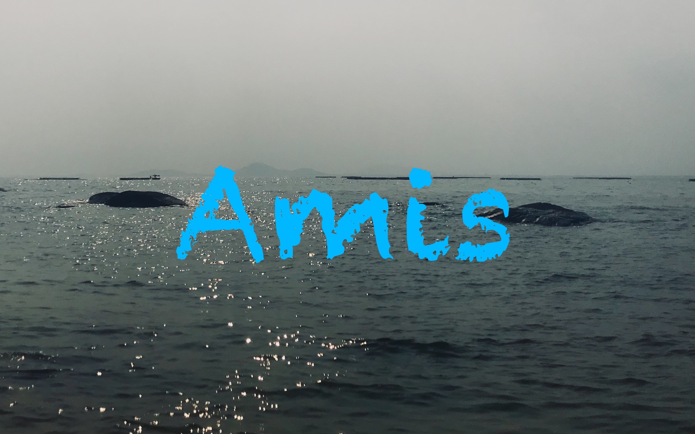 【阿樂 vlog】 AMIS