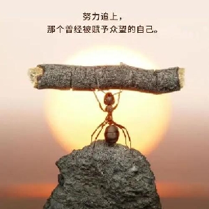残念醉人间 