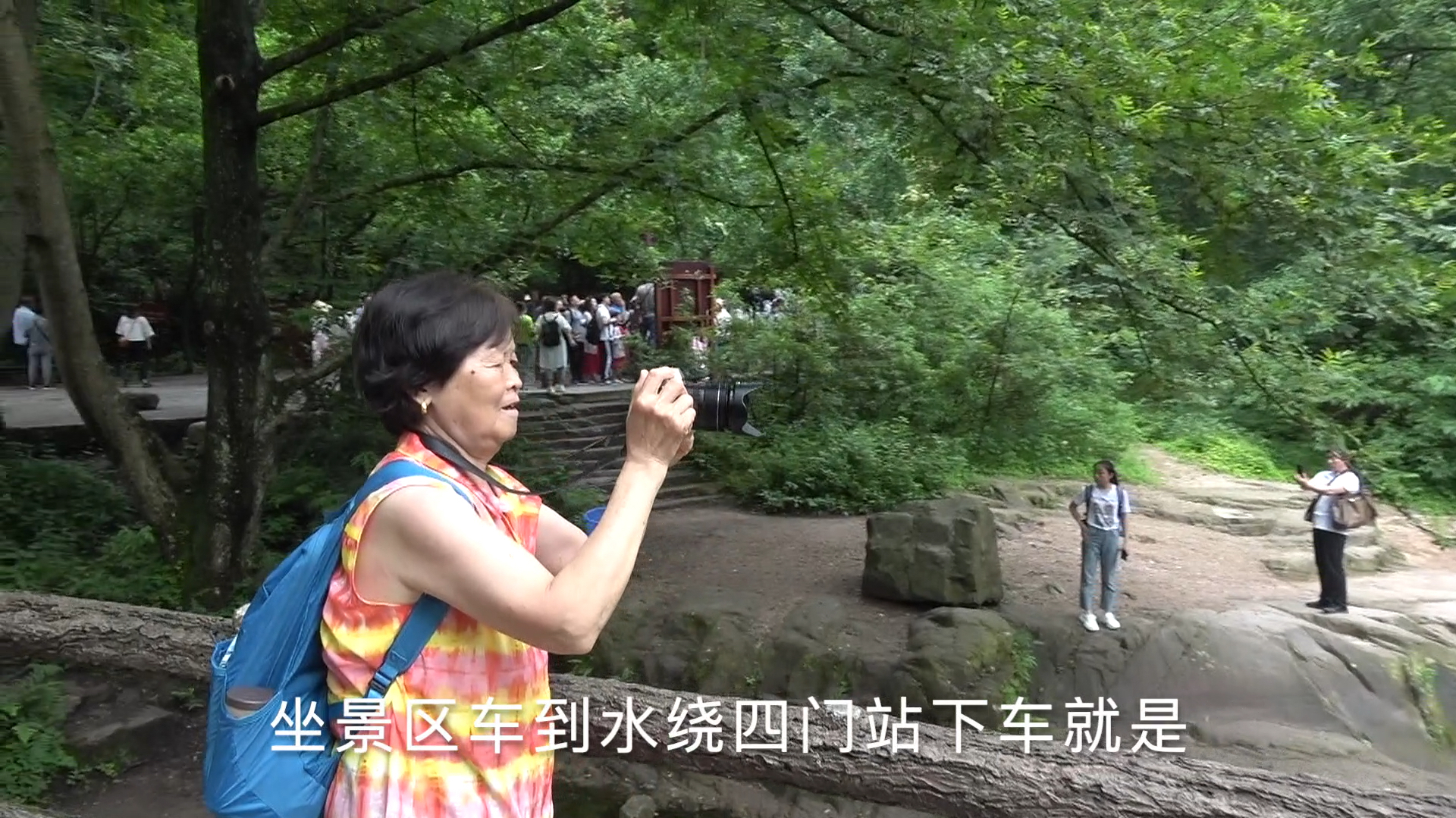 张家界金鞭溪风景区,绿树成荫山谷清幽,还有活泼好动的猴子
