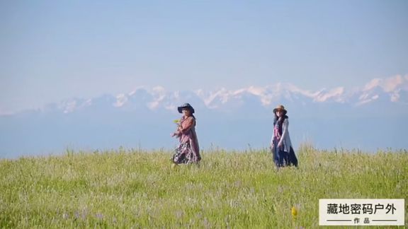 漫步雪山下的草原花海,放飞自我,享受如画美景!#新疆# #带你走遍全...