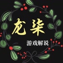 龙柒游戏解说 