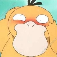 滤布 