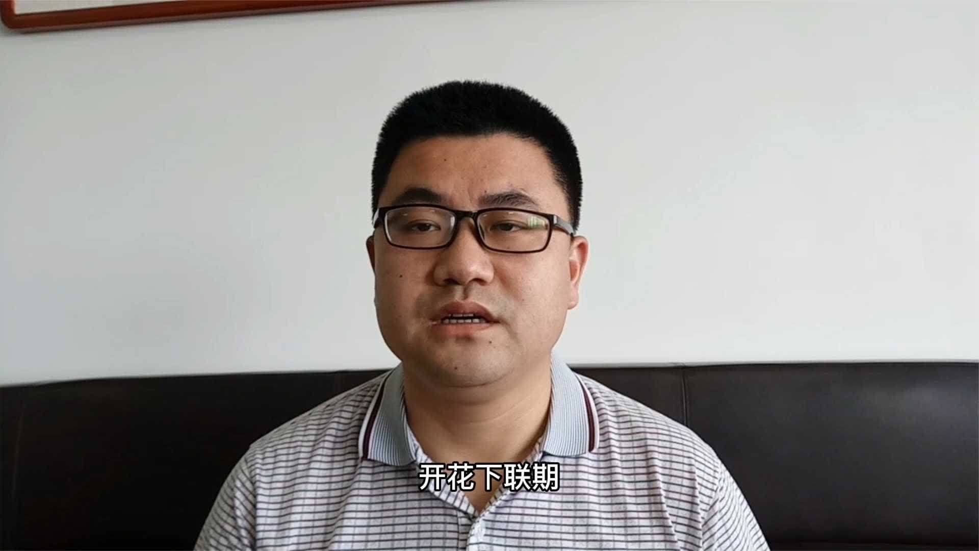 花生种植这几点很关键,一定要注意好,这样产量才会高