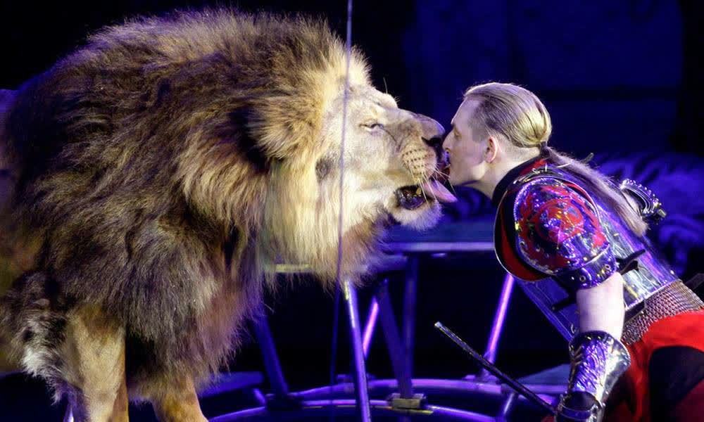 马戏团表演意外发生,老虎狮子兽性爆发,镜头拍下全过程!