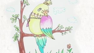 写意花鸟画之鹦鹉,动物简笔画教程,对话鹦鹉鸟类的秘密