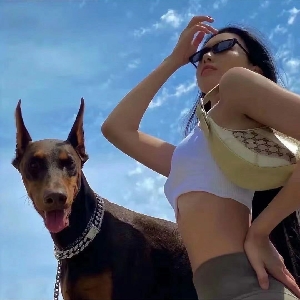 刘老师-期刊论文编辑 