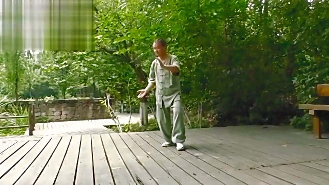 爱剪辑-杨氏太极拳八十八式背面带口令