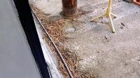 四通道单标签距离测试 #迅远科技 #电子标签 #RFID读写器