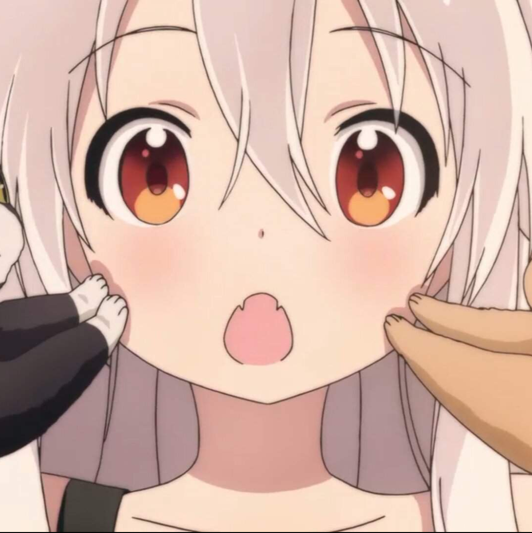 洞主最喜欢的迪迦 