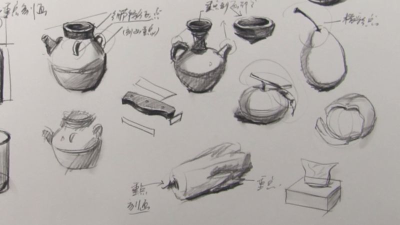 素描水果的刻画讲解示范。
