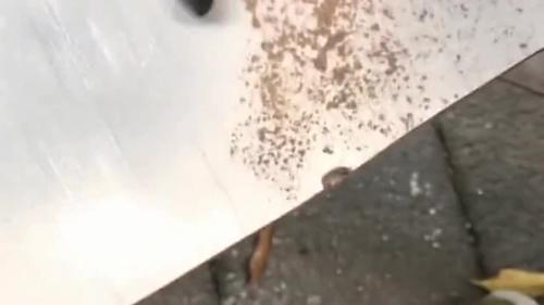 你现在是不是还在用这种钻头啊,赶紧扔了吧,瓷砖打孔当然要用专业钻头啊