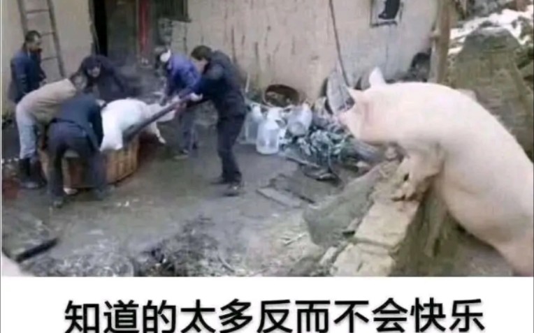 那些你无法理解的XP系统。