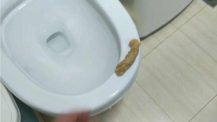 用纸巾做个臭臭模型看看儿子什么反应