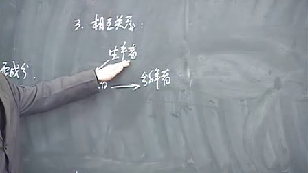 生态系统(2)生态系统的结构