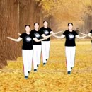 山东寒梅广场舞 