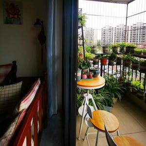 智勇双全饼干iV 