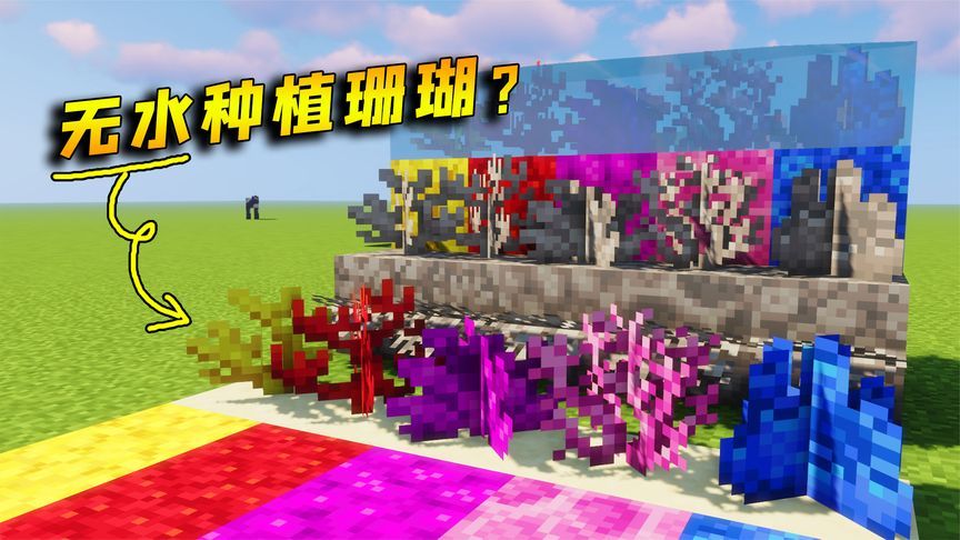 我的世界:1个海泡菜可以无限种植,你知道原理吗?