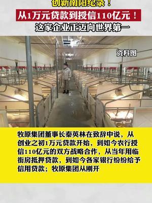 创新南阳纪录 从1万元贷款到授信110亿元! 这家企业正迈向世界第一