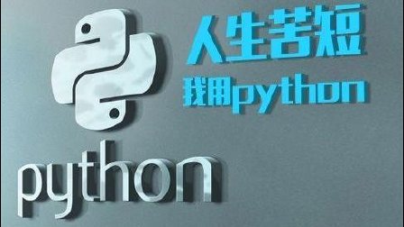 Python基础教程 爬虫