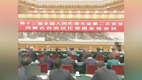 习近平参加内蒙古代表团审议 重点关注什么议题?