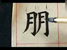 书法教程你们要的最详尽的欧楷教学视频! 书法间架结构讲解! 硬笔书法