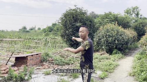 管子哥打算修建房子,像向前农场一样生活,有人要来一起吗?