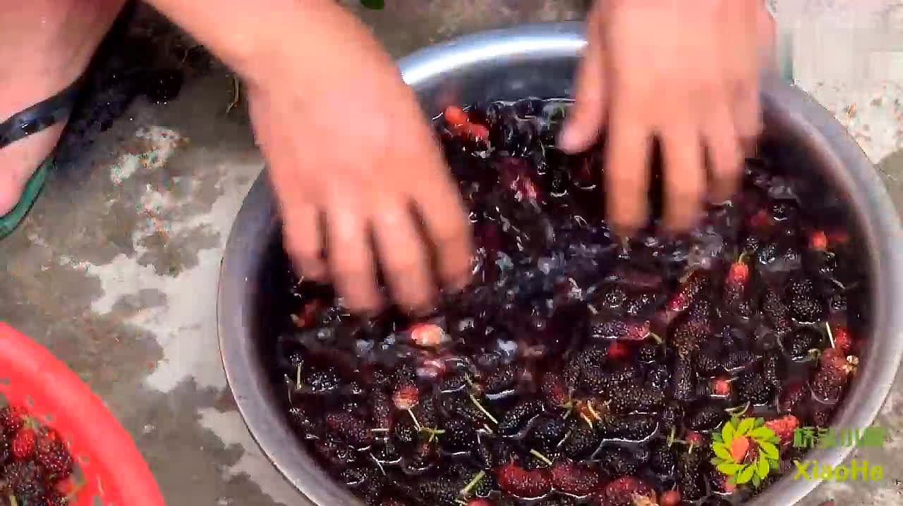 桑果水洗就错了,小何教大家泡制桑酒,这么泡才纯正