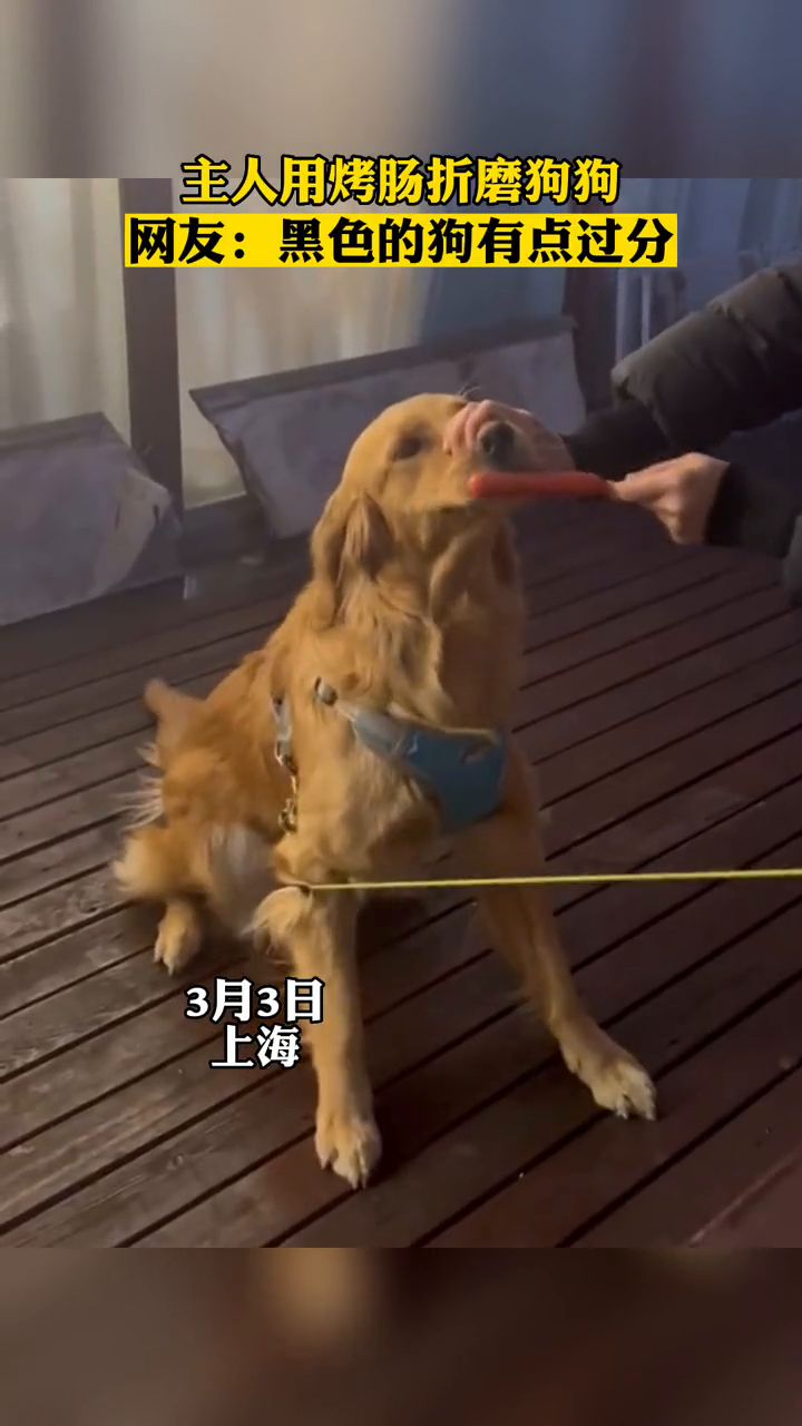 主人用烤肠折磨狗狗,网友:黑色的狗有点过分了