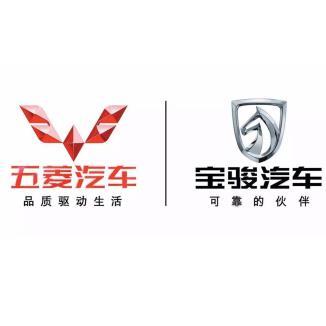 仕通五菱宝骏 