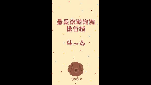 最受欢迎狗狗排行榜4～6名#爱宠 #排行榜 #狗狗
