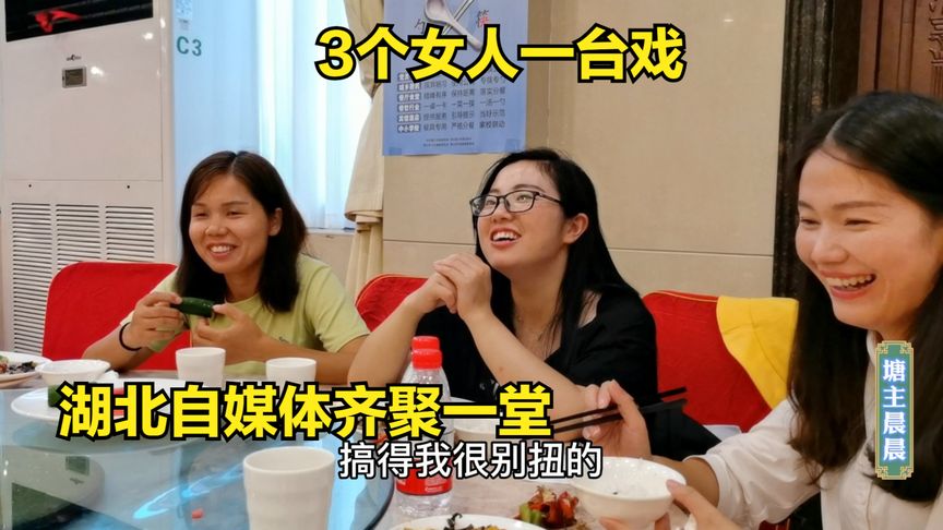 湖北自媒体齐聚一堂,饭桌上晨晨和2位美女聊啥?逗得全桌人大笑
