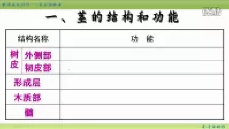 【生物大师】初中生物微课教学视频第39集:运输作用之导管和筛管