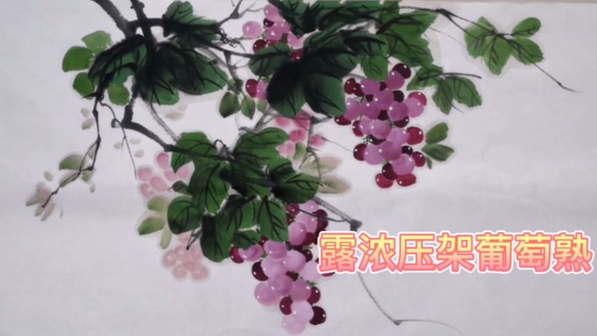 国画写意葡萄画法
