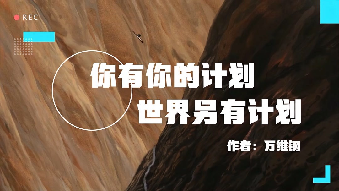 你有你的计划 世界另有计划