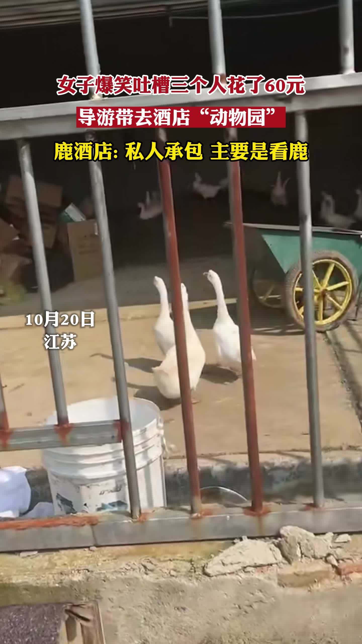 女子爆笑吐槽三个人花了60元导游带去酒店“动物园”